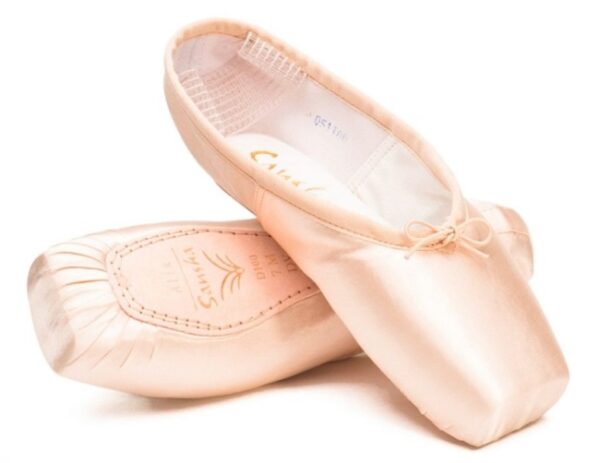 10 Famous Pointe Shoe Brands For Your Perfect En-point | Chooze Shoes